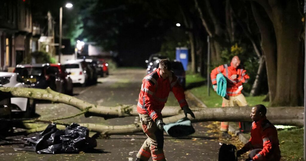 Man, 26, dies after tree falls on him as second man…