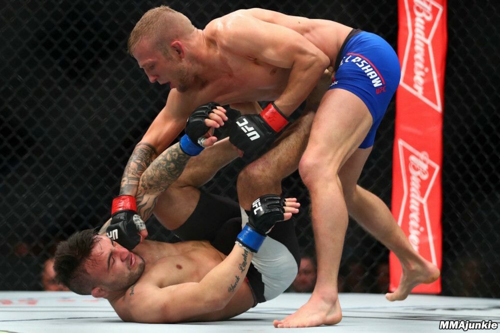 T.J. Dillashaw plans to show Aljamain Sterling what…