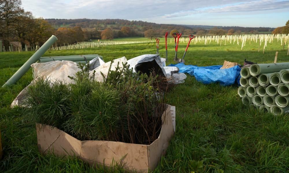 Plans to scrap nature-friendly farm subsidies put…