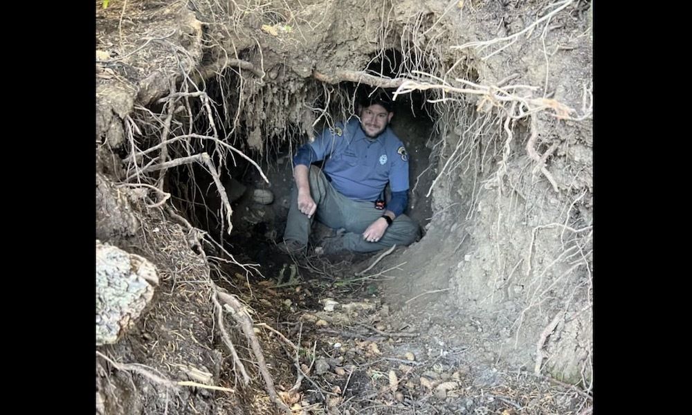Biologists discover huge grizzly bear’s den with…