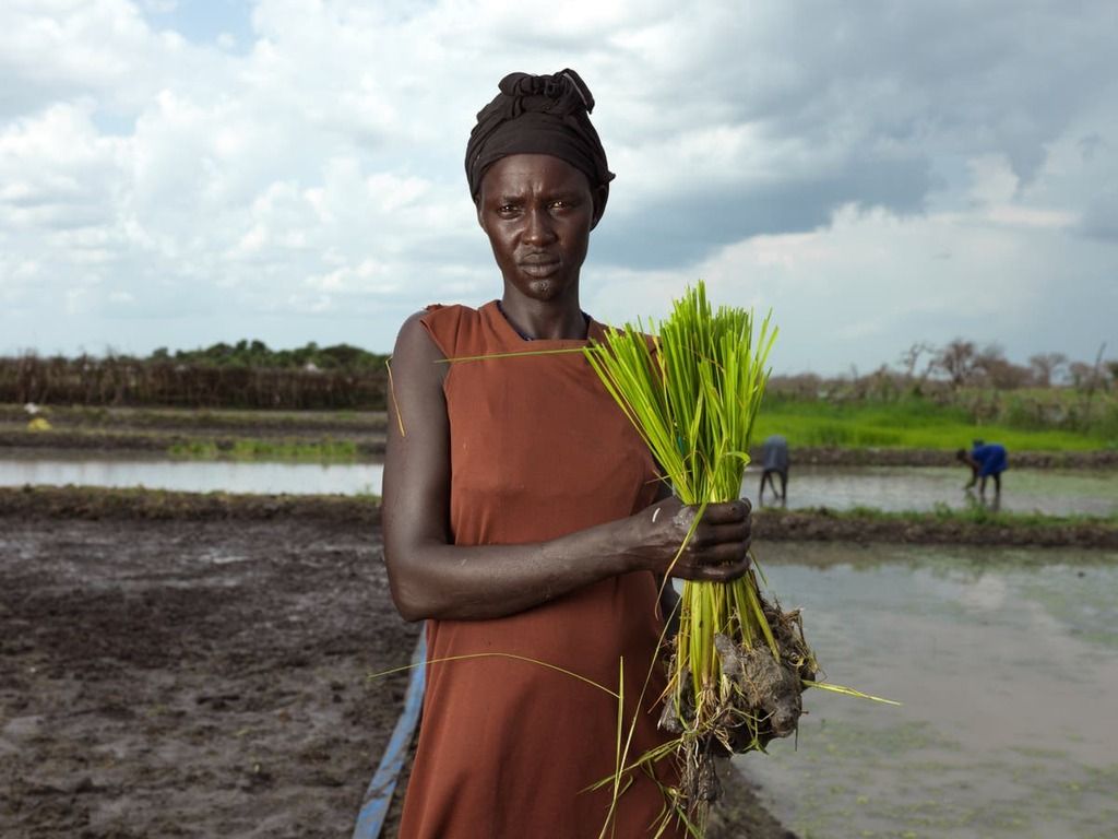 World Food Day: How a South Sudan community is…