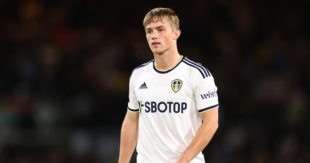 Leeds United first team squad players who could play…