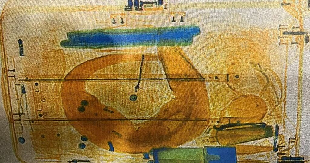 X-ray reveals rare albino alligator in luggage of…