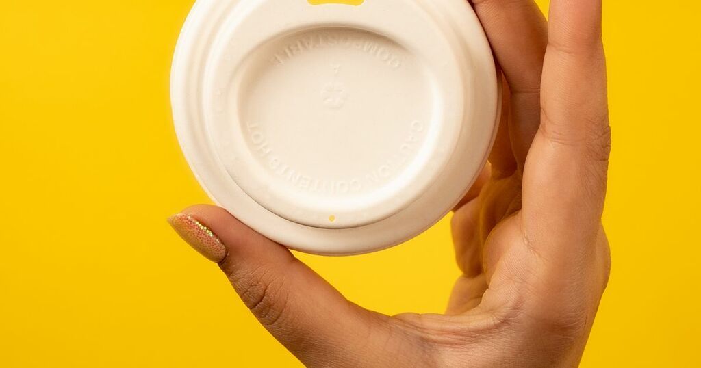 Paper straw maker to McDonald's and KFC Transcend…