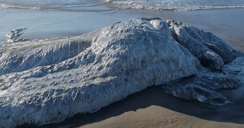 Bizarre faceless sea creature dragged from bottom of…