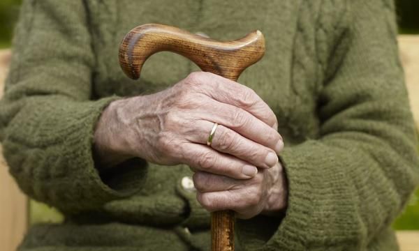 Poem of the week: The Ash Plant by Seamus Heaney