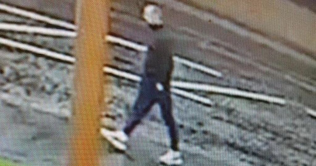 New CCTV footage shows man matching Barry McCullagh's…