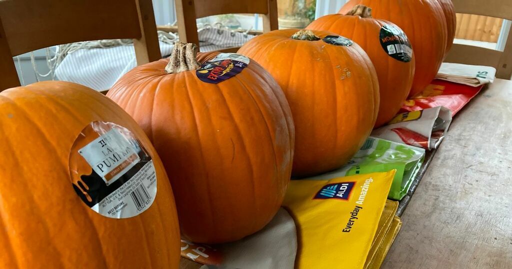 'I bought the biggest pumpkin available at every main…