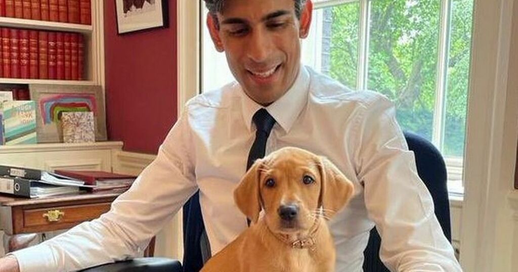 Who is Rishi Sunak's dog Nova as lovable pooch moves…