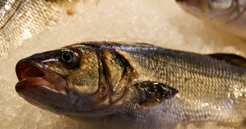'Ruthless' door-to-door fish salesman ripped off…