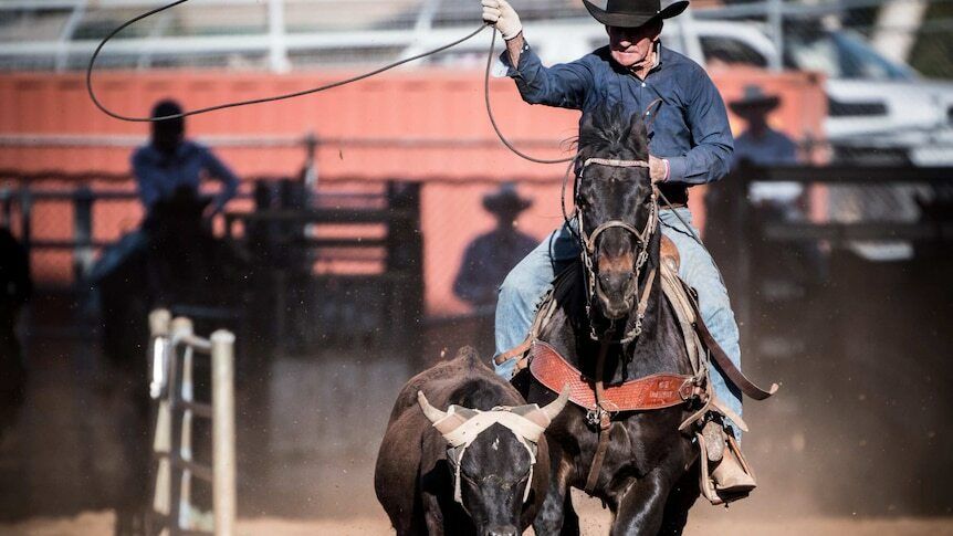 World's oldest cowboy Bob Holder vows return to rodeo…