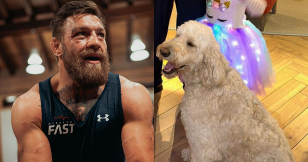 Conor McGregor shows off new pet dog in family…