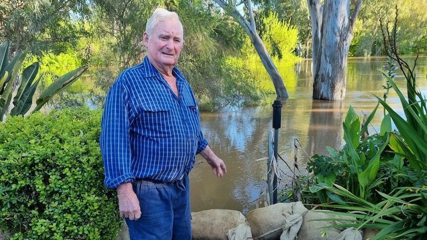Murrumbidgee River peaks at Wagga Wagga, 500…