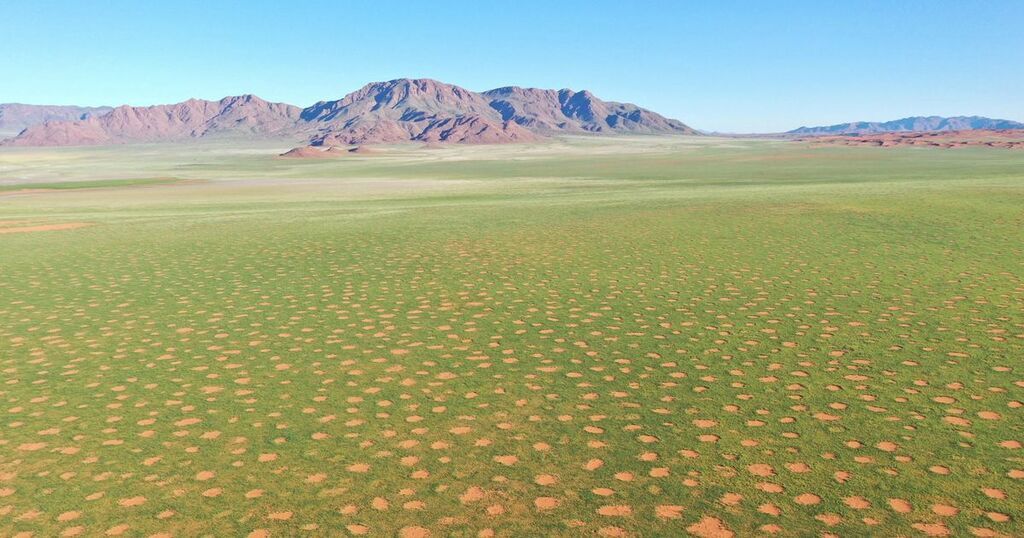Scientists finally solve mystery of fairy circles in…