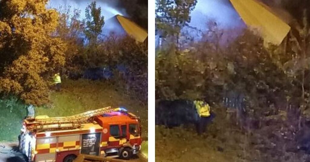 Smoke billows out into night sky as commercial garage…