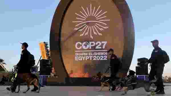COP27: Climate buzz words you need to know