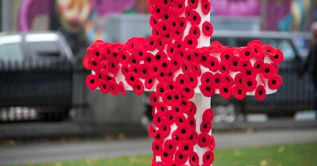 The history of a Remembrance Day poppy and why we wear…
