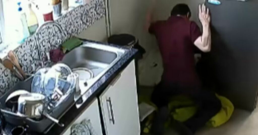 Man who punched and kicked dogs owned by his landlord…