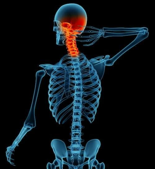 Inflammation Immune System Science Explains Why The