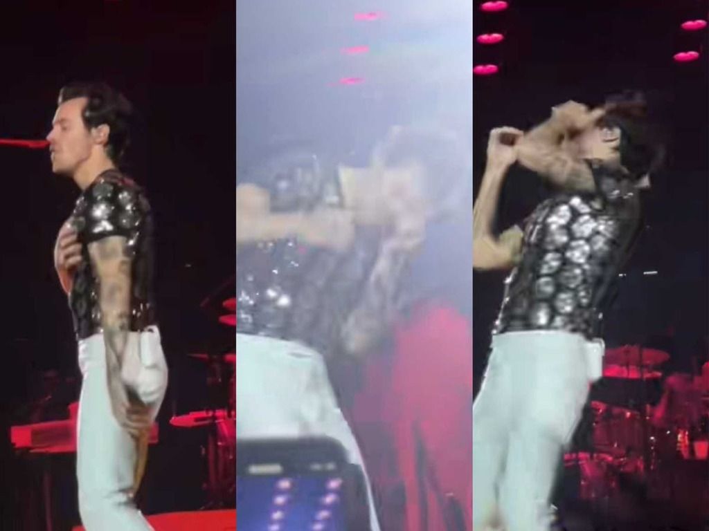 Harry Styles fans horrified after singer hit in the…