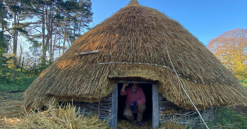 UCD students create impressive medieval roundhouse…