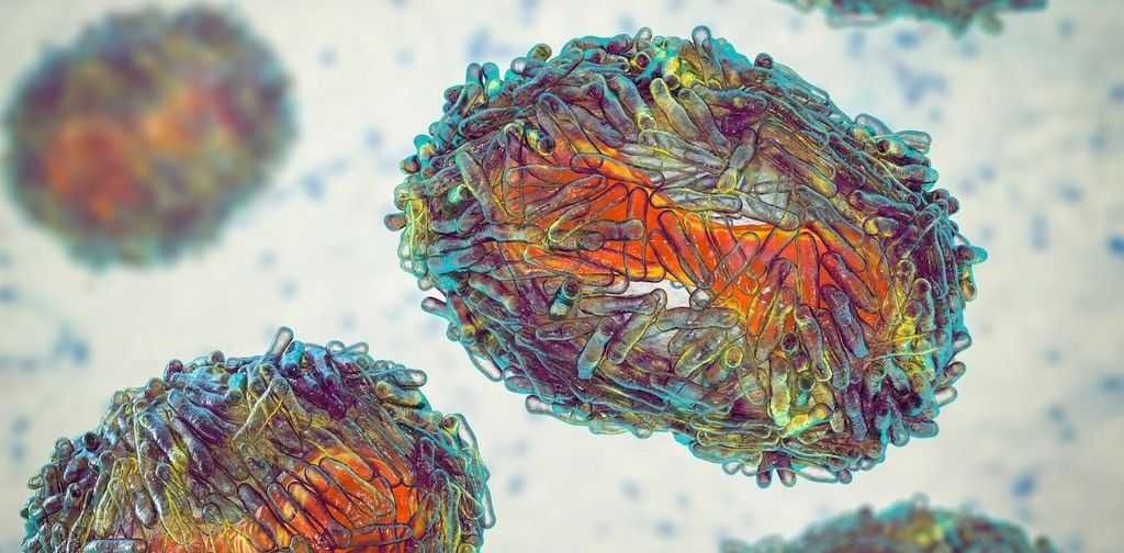 Monkeypox: latest data reveals how the virus has…