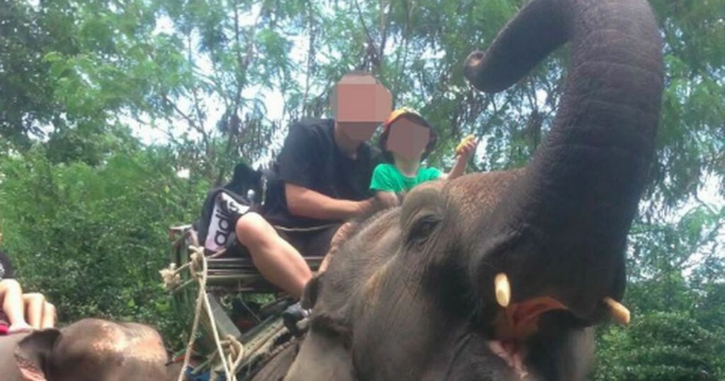 Edinburgh thug who fled to Indonesia after knifepoint…