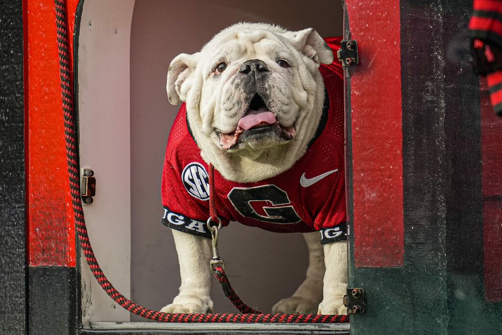 Georgia finishes another season undefeated after…