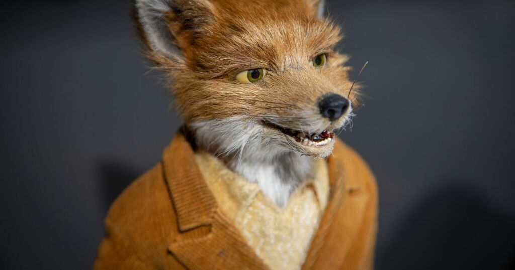 Original puppets from Netflix and Hollywood movies on…