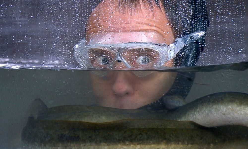 Matt Hancock was meant to fail on I’m a Celebrity.…