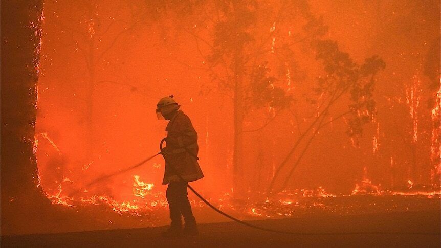 Flooded NSW towns and dry parts of WA face 'above…