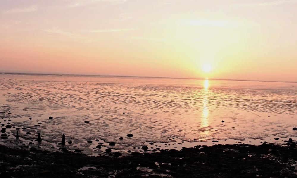 Country diary: Returning to an old haunt after nearly…