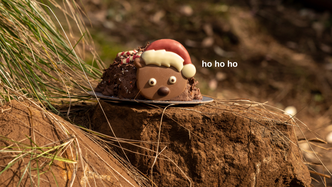 Make Room On The Xmas Menu ‘Cos Woolies Has Released…