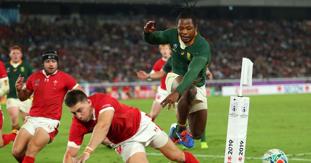 Springboks rugby star Sbu Nkosi missing as police…