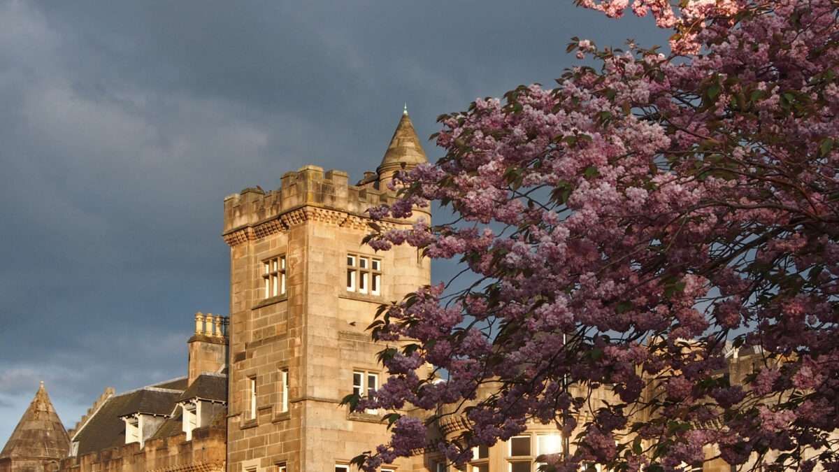 Students at Stirling University Vote To Ban Meat and…