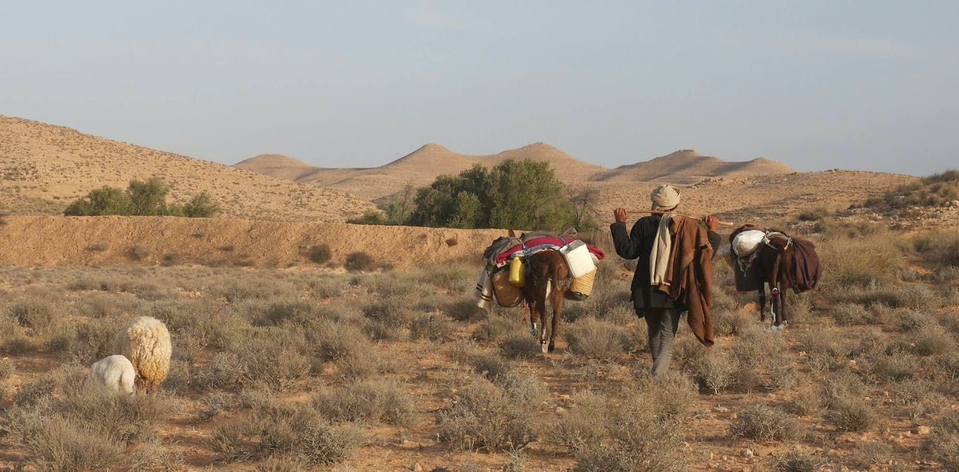 How pastoral farming can help to avoid a biodiversity…
