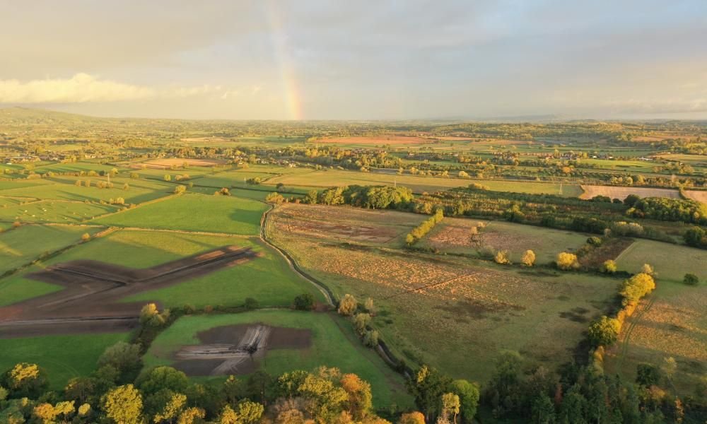 Country diary: The first green shoots of a rewilding…