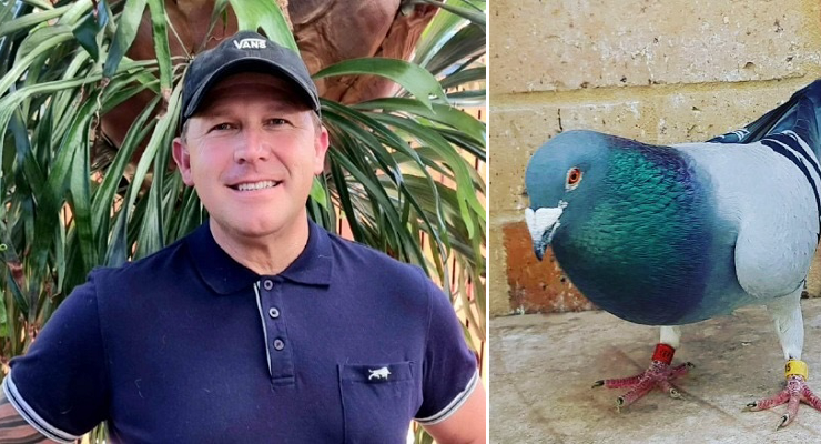 Giant hearts, DNA mapping and pigeon liaison agents:…