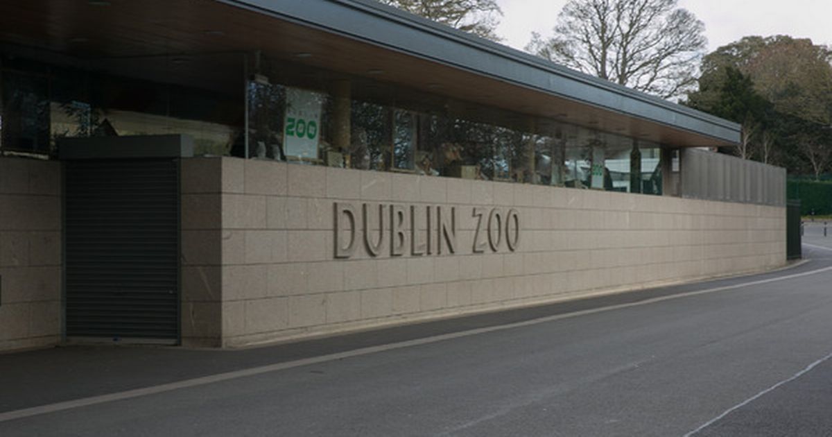 Dublin Zoo announces ambitious conservation 'master…