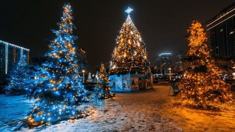 How to use your iPhone to measure a Christmas tree (or…