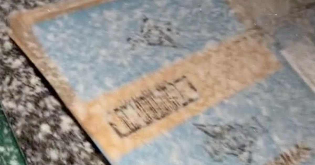 Man shares 'two second' de-icing trick and people…