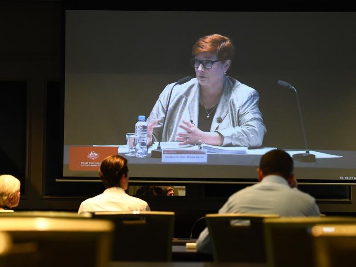 Former minister to front robodebt inquiry