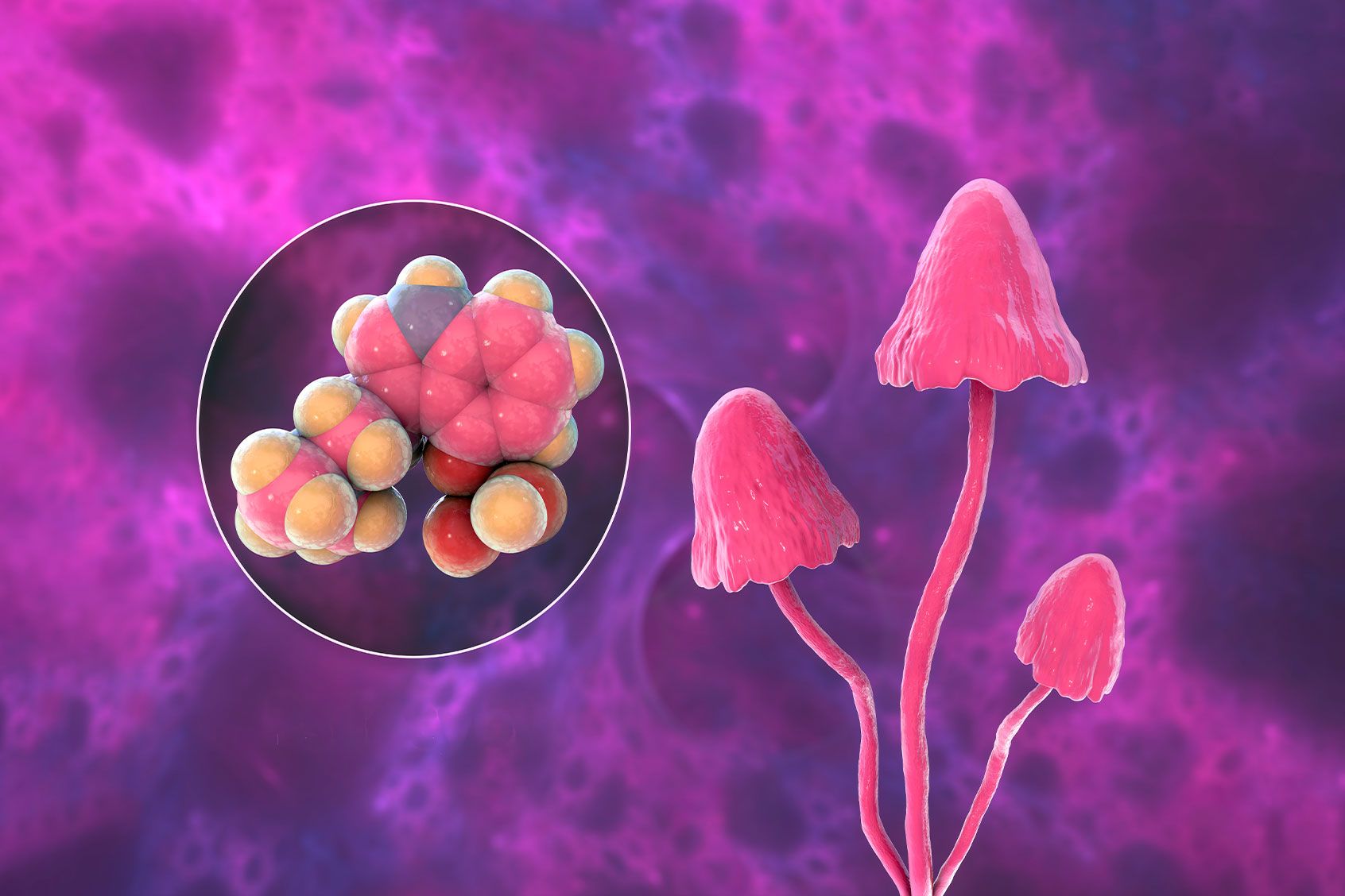 The debate over synthetic 'shrooms