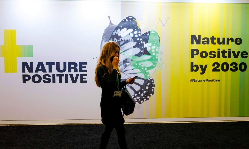 What does ‘nature positive’ mean – and can it rally…
