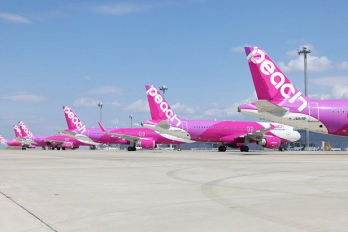 Man gets suspended term for temporary plane landing…