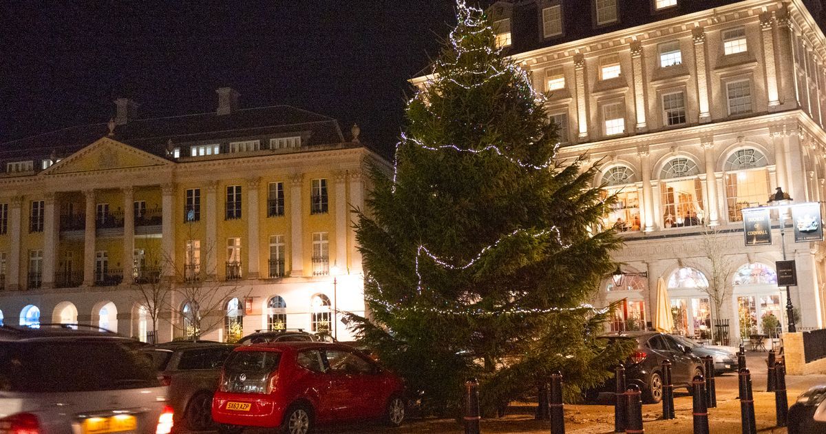 Locals fuming at 'miserable' Christmas tree left…
