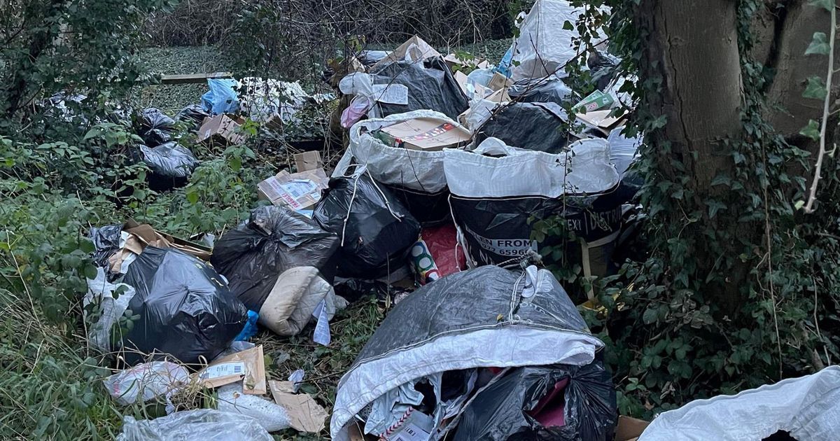 Massive pile of Evri parcels dumped in woodland as…