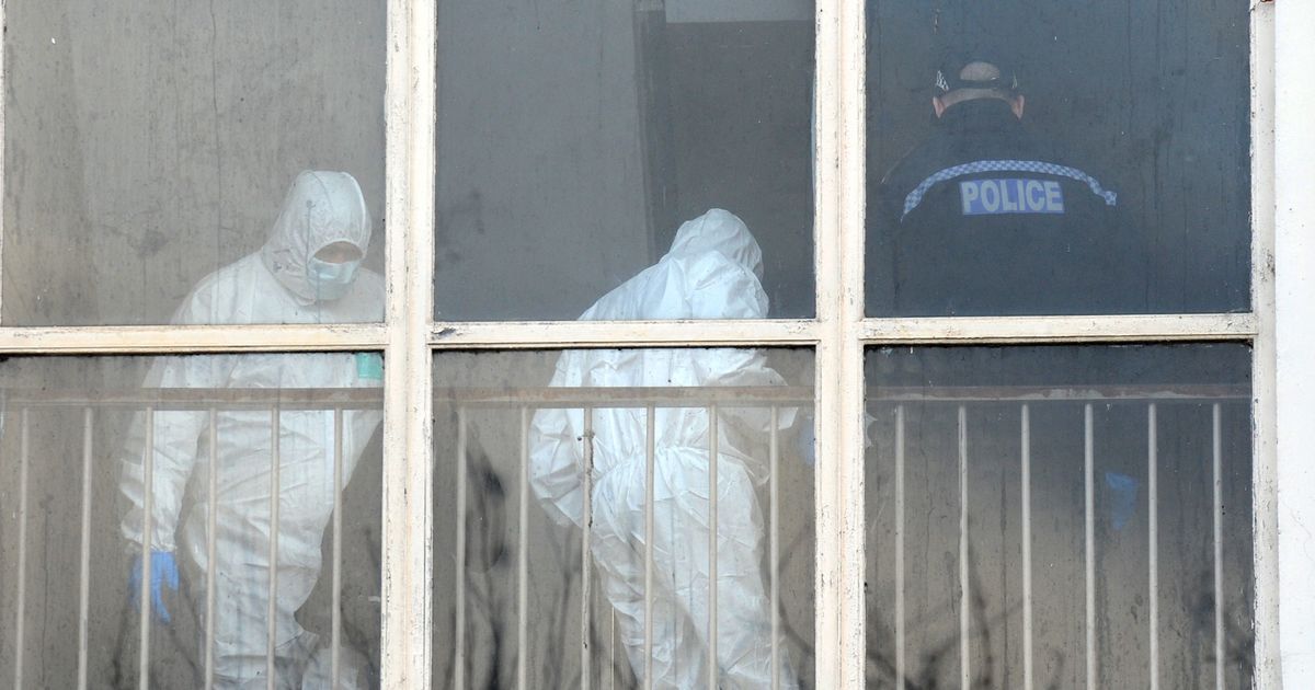 Forensics officers sweep Paisley flat after tragic…