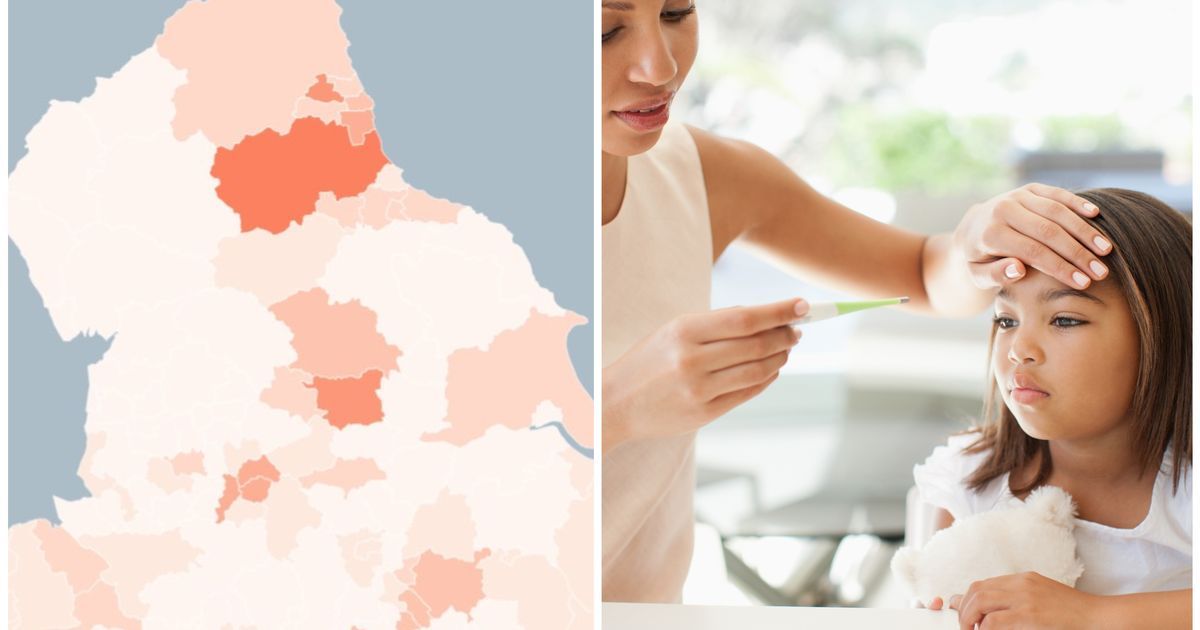 Invasive Group A Strep cases mapped: County Durham…