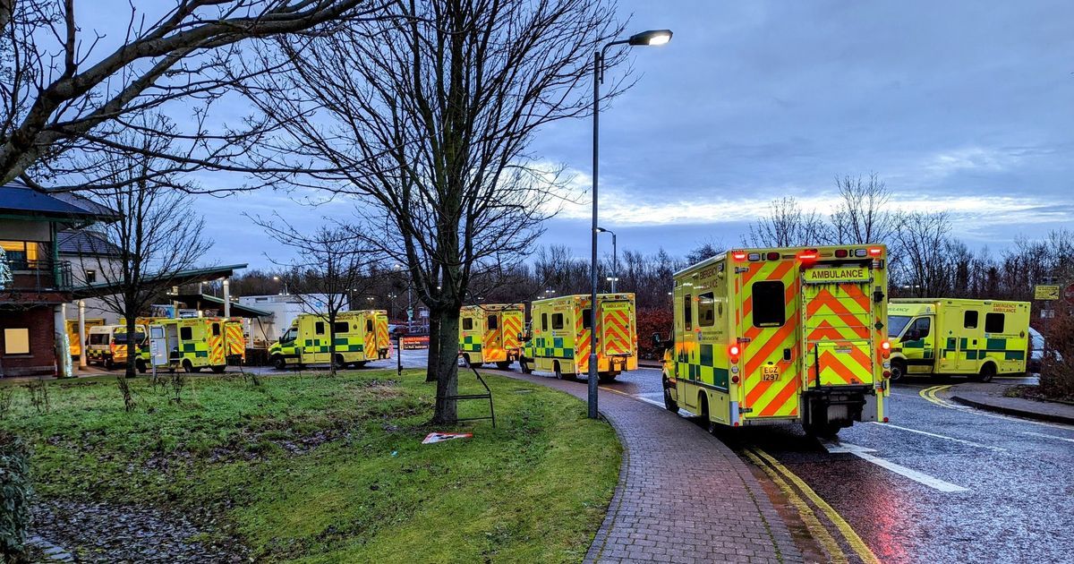 Northern Ireland medics treat patients in back of…